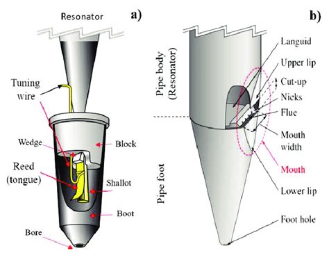 The Parts Of A Reed Lingual A And A Flue Labial B Organ Pipe