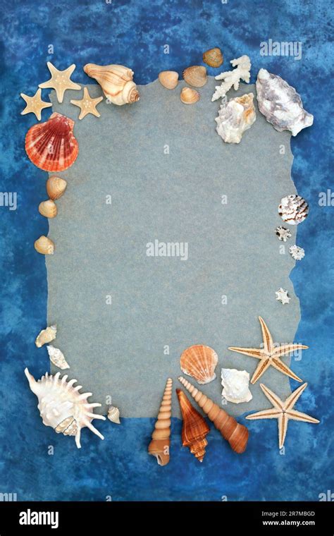 Seashell Abstract Background Frame On Mottled Blue Background Natural Beautiful Nature Design