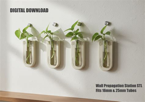 🌿 Wall Mounted Plant Propagation Stl Fits 16mm And 25mm Test Tubes・free