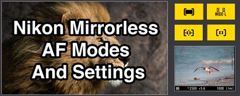 Nikon Mirrorless AF Modes And Settings Backcountry Gallery