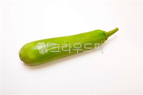 초록색호박 애호박 호박 하나 흰배경 사진이미지일러스트캘리그라피 Shinja작가