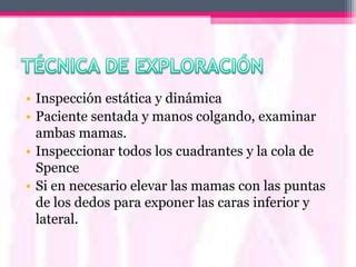 Exploración De Mamas Pptx