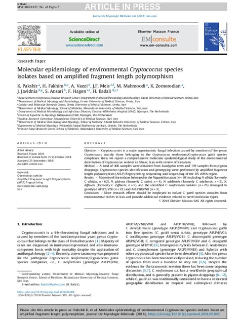 Pdf Molecular Epidemiology Of Environmental Cryptococcus Species Isolates Based On Amplified