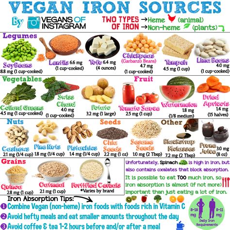 Vegans Of Instagram Vegan Iron Sources Vegan Iron Foods With Iron