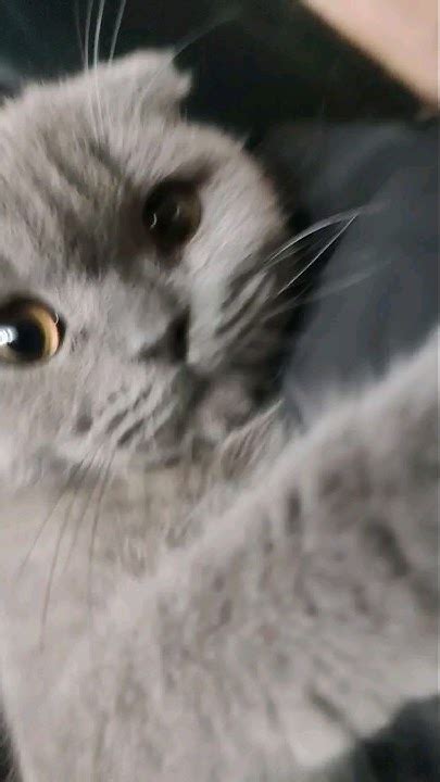 красіва Youtube