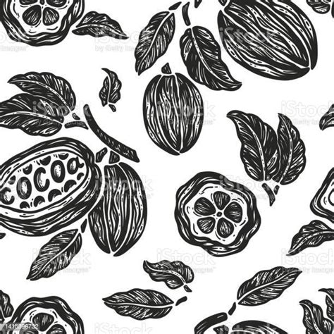 카카오 포드 코코아 콩과 잎 꽃 원활한 패턴 과일 벡터 흑백 배경 코코아 파우더 또는 초콜릿의 포장 디자인에 좋습니다 벡터에 대한 스톡 벡터 아트 및 기타 이미지 Istock