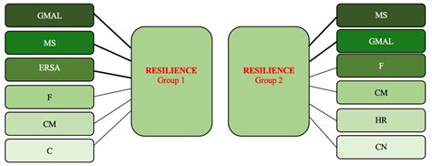 Correlation Galaxy Of Resilience By Ranks Download Scientific Diagram