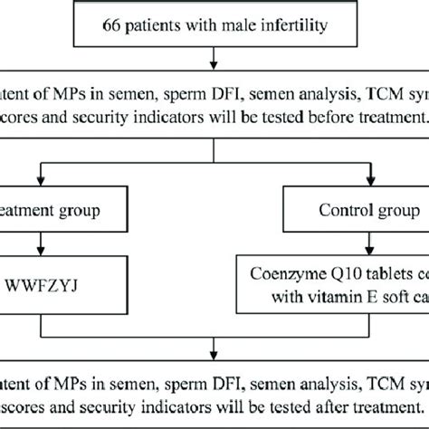 Research Flow Chart Download Scientific Diagram
