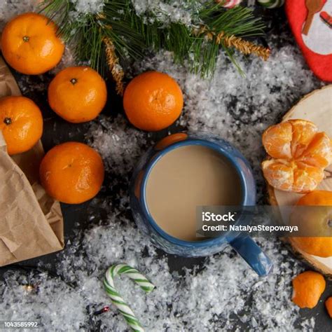 크리스마스와 새 해의 개념입니다 관화 커피잔 눈 크리스마스 트리 분기 어두운 배경 0명에 대한 스톡 사진 및 기타 이미지 0명 Diy 가위 Istock