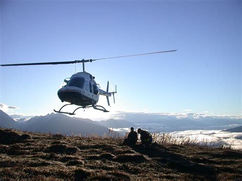 Terralogic Exploration Digigeodata