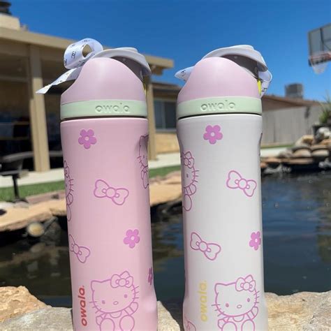 Hello Kittu Owala Etsy