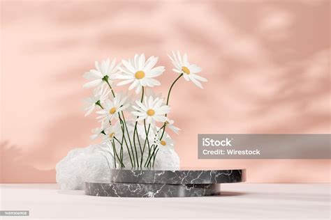 제품에 대한 일반적인 데이지 및 분홍색 복사 공간 연단 디스플레이의 3d 렌더링 그림 0명에 대한 스톡 사진 및 기타 이미지 0명 3차원 형태 강단 Istock