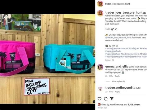 Trader Joes Drops Mini Insulated Tote Bags Sparking Shopper Craze