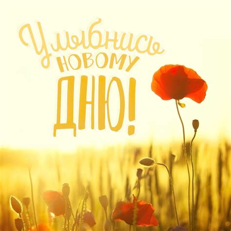 С добрым утром друзья 🤗 Пусть наступающий Услышано Коряжма Котлас