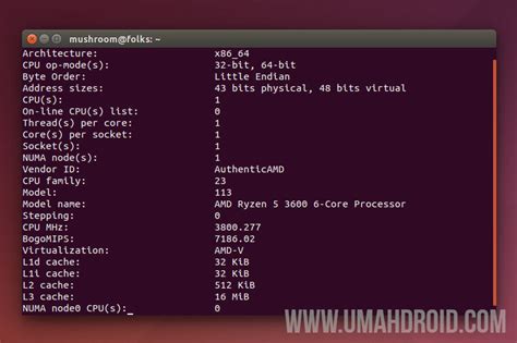 Cara Mengatasi Ubuntu Freeze Hang Saat Dan Setelah Instalasi Umahdroid