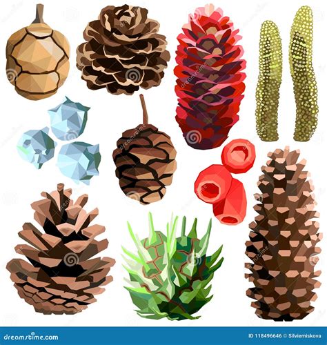 3d Illustration Of Podocarpus Macrophyllus Bonsai Isolated On White And Its Mask Cartoondealer