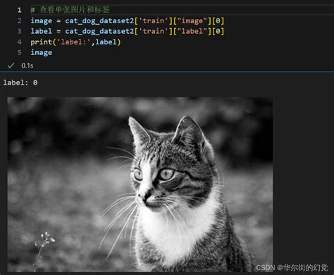 【加载自定义数据csvimage】huggingface的datasets库中loaddatasethuggingface Dataset Datasetdict Csdn博客