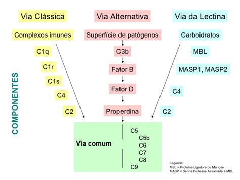 Defesas Não Específicas Sistema Complemento