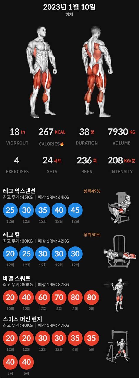 늙고병든 하체 운동건강아싸 에펨코리아