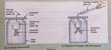 Subhankars Science And Engineering Blog Lecture 1 Class Viii