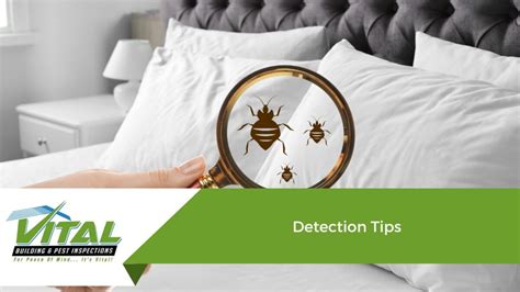 Defend Against Pest Infestation With Proven Solutions