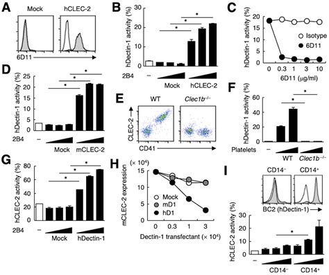 Human Dectin 1 Is O Glycosylated And Serves As A Ligand For C Type Lectin Receptor Clec 2 Elife