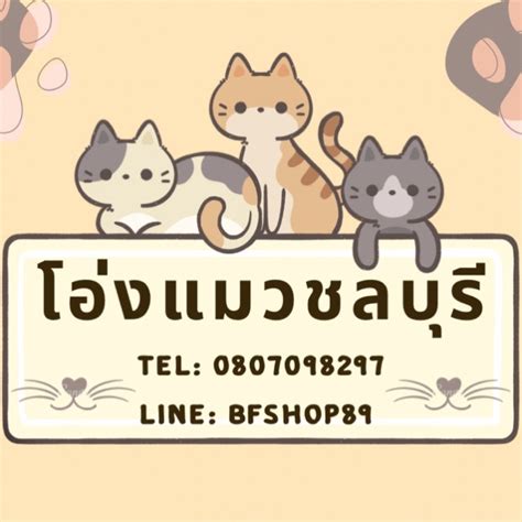 โอ่งแมวดินเผาบ้านแอร์แมว ร้านค้าออนไลน์ Shopee Thailand