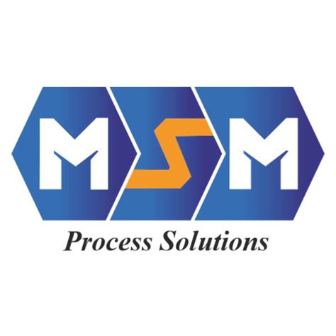 msm process solutions pvt ltd pune