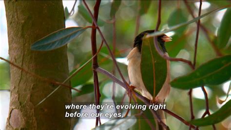 What We Can Learn From The Junco Resource Imageshare