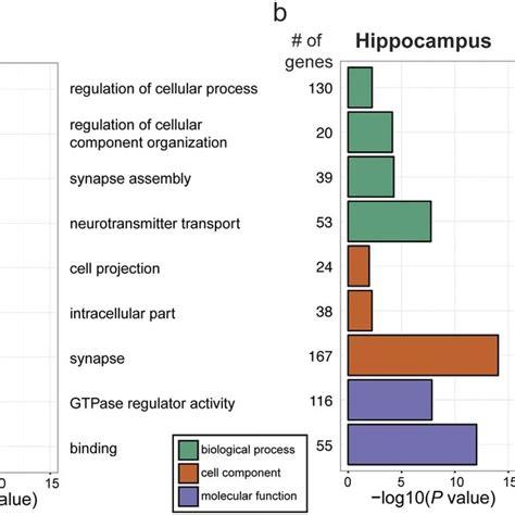 Rnase R Validation Of Circrna Annotations A Rt Qpcr Experiments Show