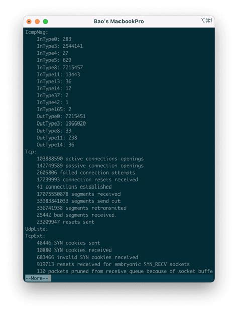 20 Netstat Commands For Linux Network Management