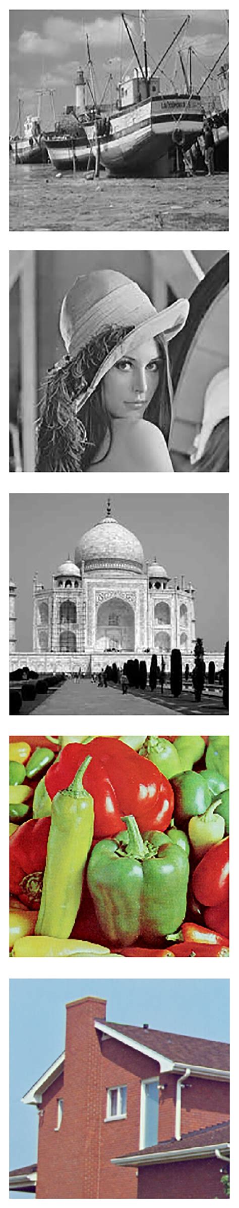 Regularized Fractional Power Parameters For Image Denoising Based On Convex Solution Of