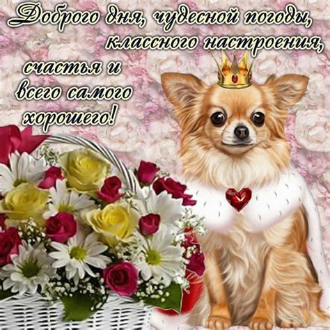 Доброго дня Хорошие пожелания на день в картинках Открытки на каждый