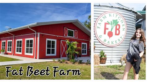 Fat Beet Farm Kitchen And Bakery Sustainable Farm To Table Tour Tampa
