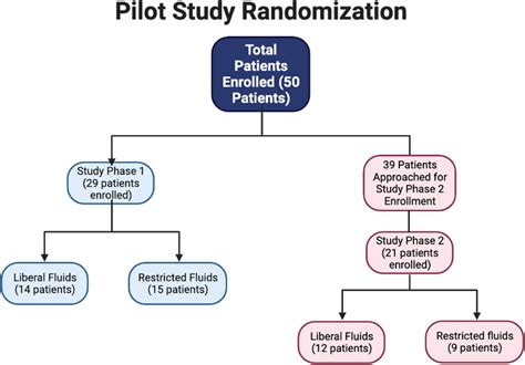 Participant Randomization Flow Diagram Download Scientific Diagram