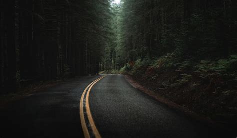 Lightning Trout What Are They And Where Can I Catch One