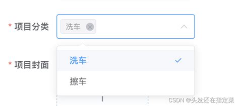 下拉多选el tag显示在输入框中 vue 下拉选择器选中后给输入框添加tag CSDN博客