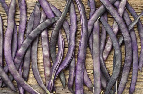 20 Facts About Purple String Bean Ohmyfacts