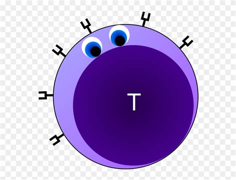 T Cell B Cell Cartoon Clipart PinClipart
