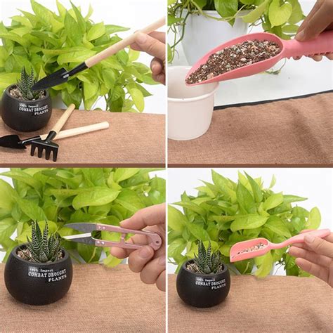 Badu Bg семена от бонсай Набор от инструменти за засаждане на сукулентни растения отглеждане на