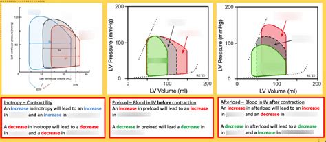 Tropies And Pressure Volume Loops Diagram Diagram Quizlet