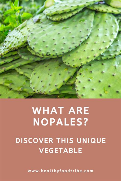 Nopales Benefits Artofit