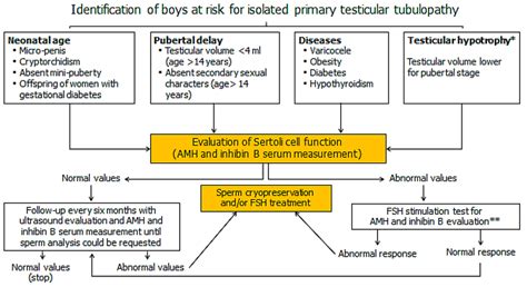 Flowchart Proposed To Help Identify Early Testicular Primary Testicular Download Scientific