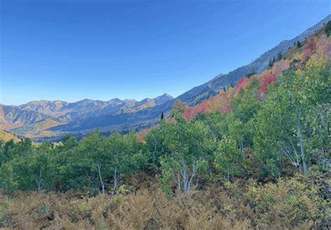 How Open Source Accelerates Earth Science Tethys Geoscience Foundation