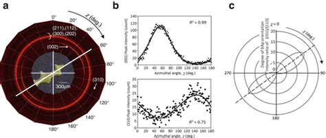 Bone Tissue And Biomaterial Design Based On The Anisotropic Microstructure Basicmedical Key