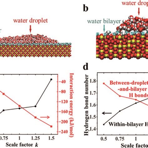 A Side View Snapshot Of The Rutile Tio2 110 Solid With A Water