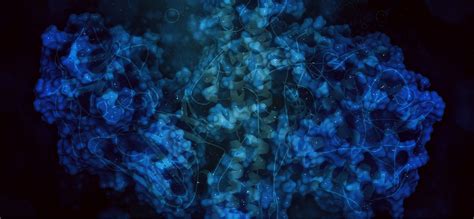 All About The Turbidity Based Lysozyme Activity Assay Goldbio