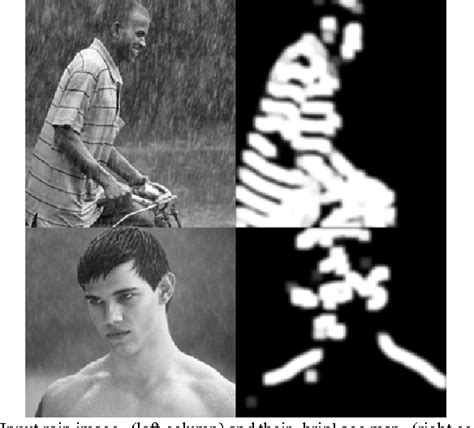 Figure 1 From Rain Removal Via Shrinkage Based Sparse Coding And Learned Rain Dictionary