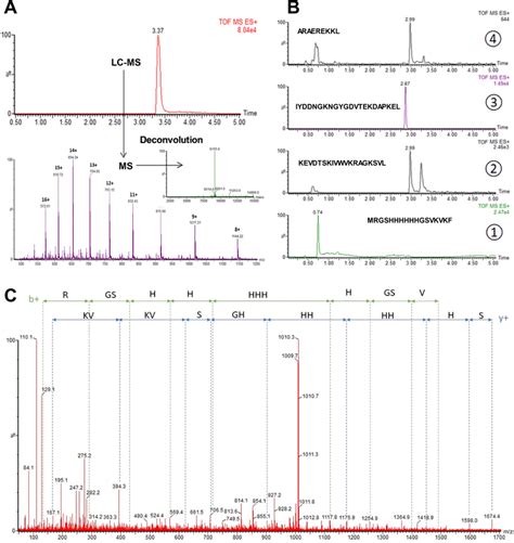 Mass Spectrometry Analysis Of Undigested And Digested H4 A Lc Ms Download Scientific Diagram