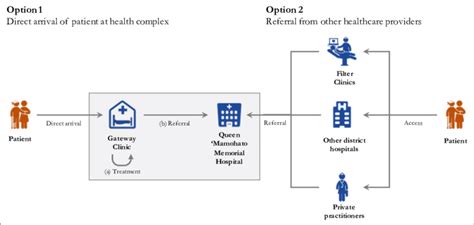 The Patient Service Flow Chart For New Referral Hospital Download Scientific Diagram